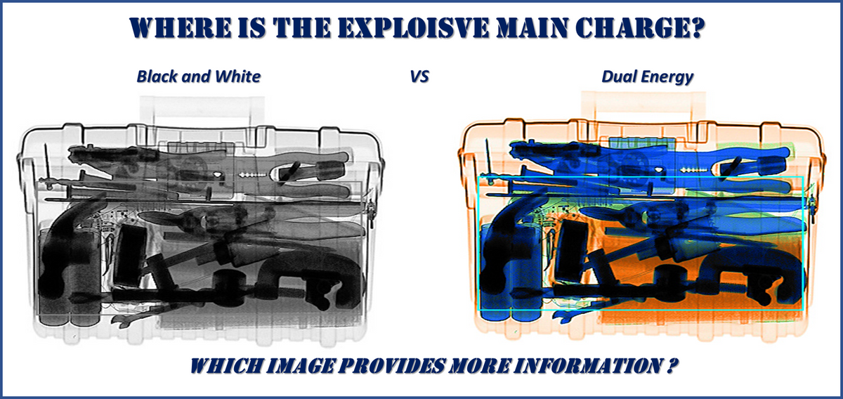 Picture1cxs_3bb5a829-f5f2-494c-9658-a93676bbaeb8_1200x1200.png?v=1591198947