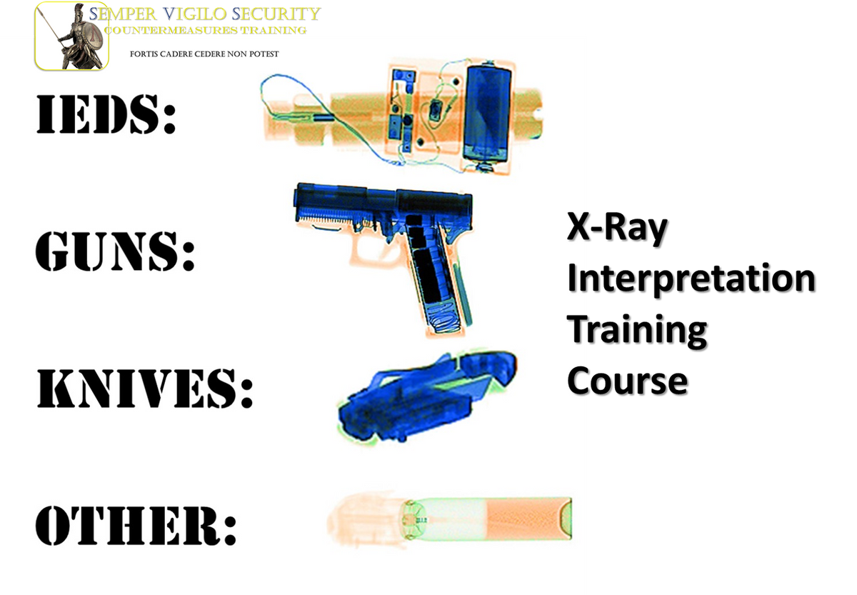 xray_91b267bb-b5a4-4d71-87d4-1bc88b2796b7_1200x1200.png?v=1645657240